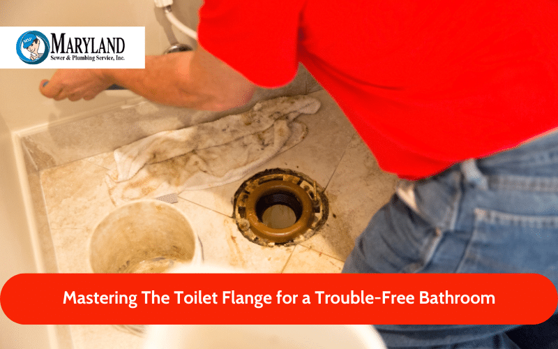 Mastering The Toilet Flange for a Trouble-Free Bathroom - Maryland ...